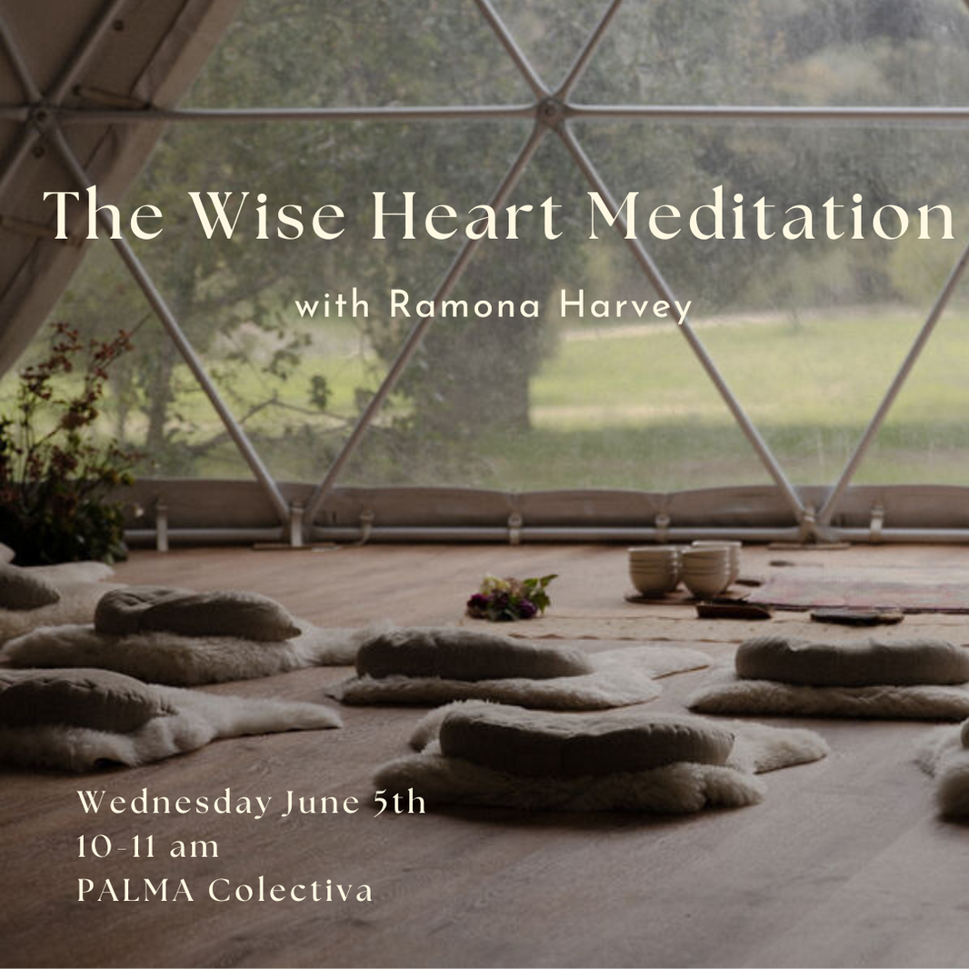 Calendar of Events – Palma Colectiva